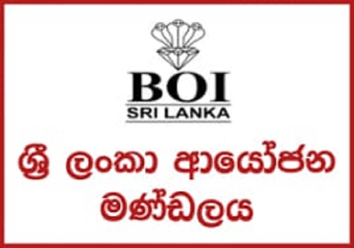 BOI Archives - NewsWire